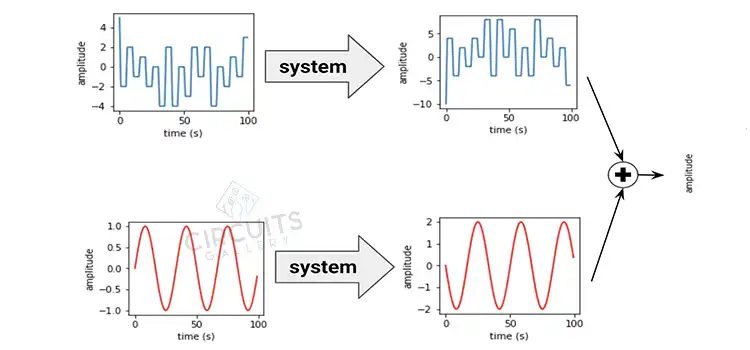 What Are The Two Types Of Digital Filters Exploring Fundamental Types 